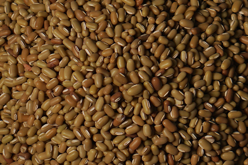 Bamboo Bean - AGRI Services