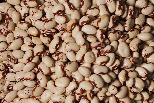 Red Bean Speckled - AGRI Services